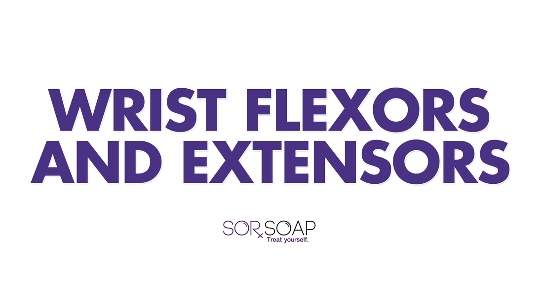 Watch these instructional videos to see how to use SORSOAP. – sorsoap